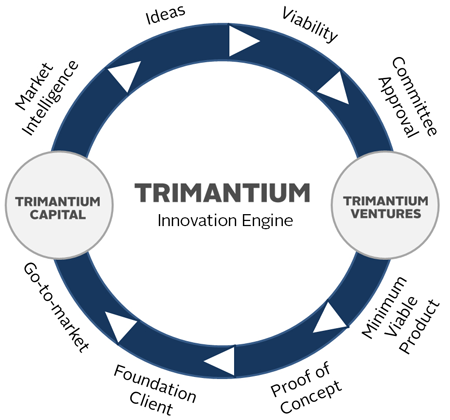 Trimantium-Innovation-Wheel-450 - Trimantium